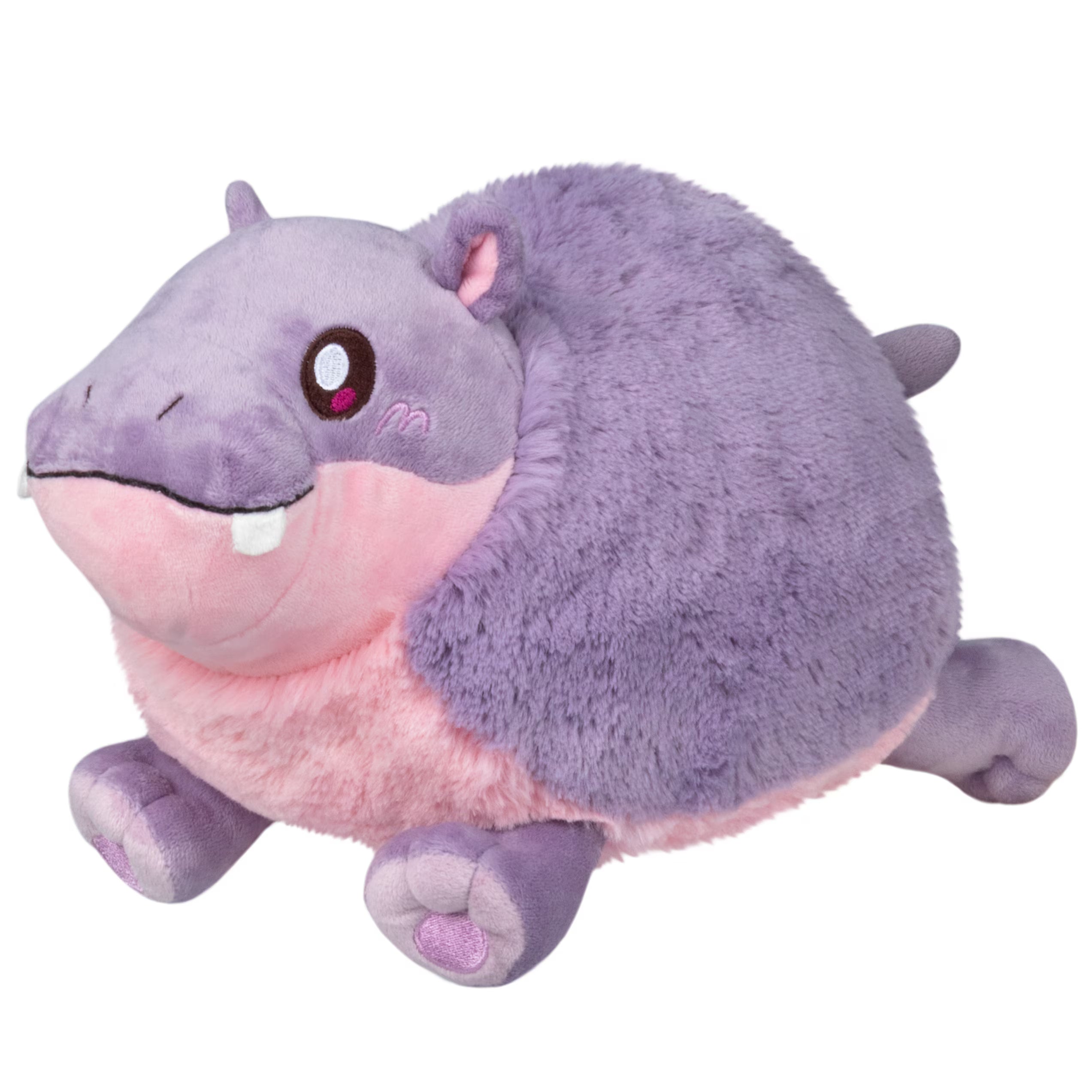 Mini Squishable Pygmy Hippo – AkCrazyCollector