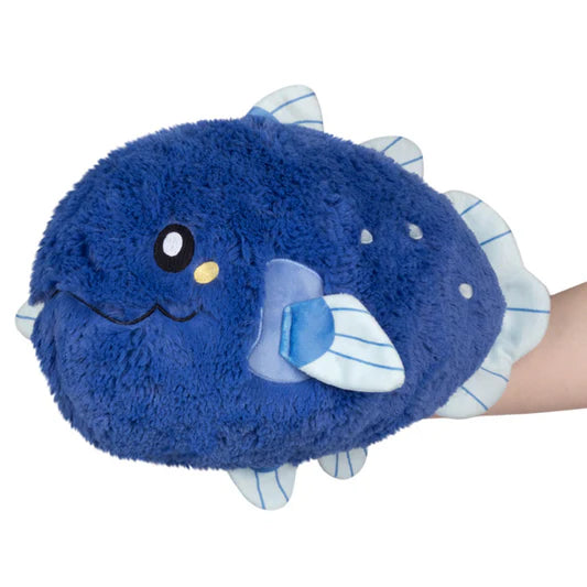 Mini Squishable Coelacanth – AkCrazyCollector