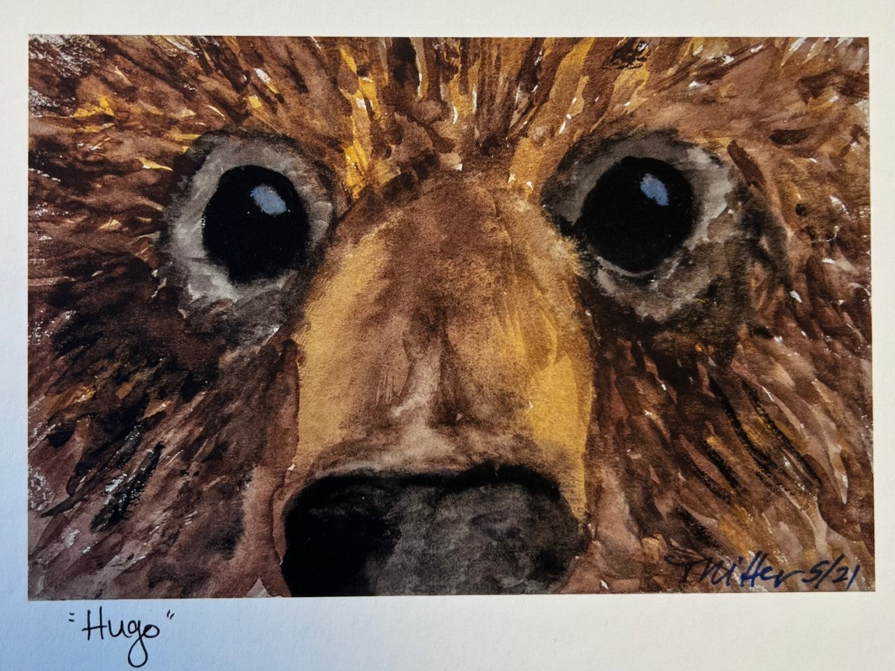 Hugo 4x5 Notecard – AkCrazyCollector