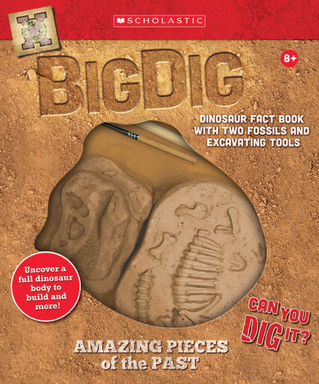 Big Dig Excavation Kit – AkCrazyCollector