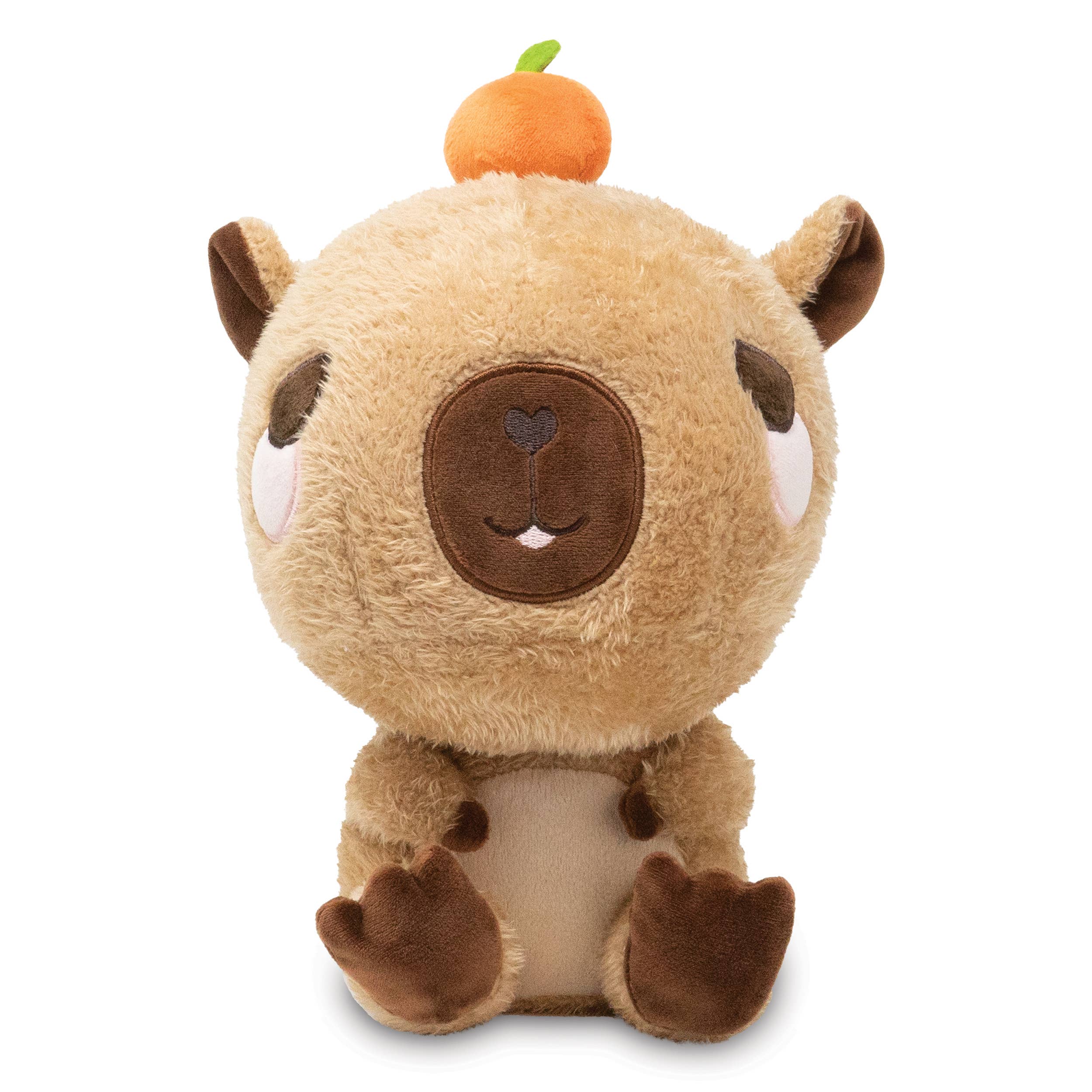 Camden the Calm Capybara – AkCrazyCollector